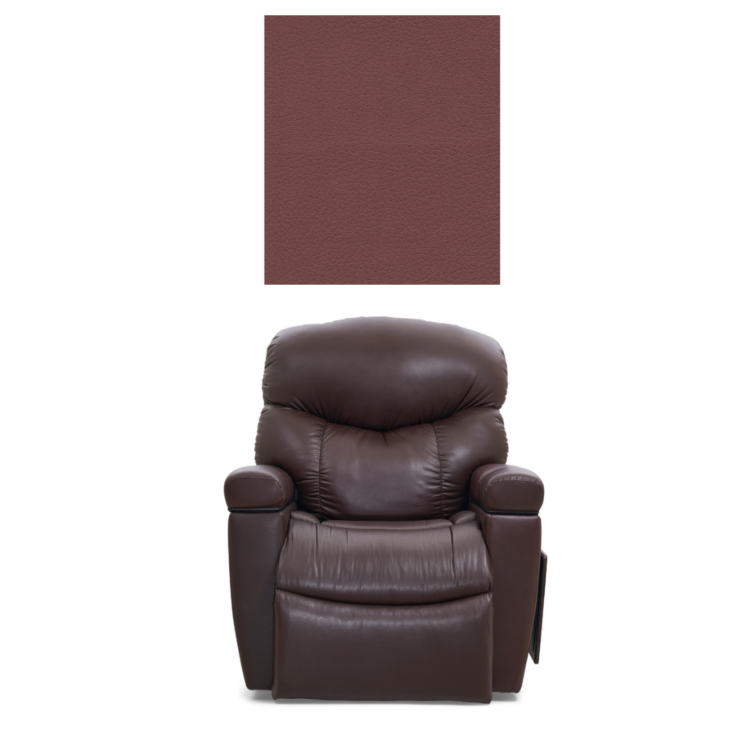 Golden Tech PR511 MaxiComfort Cloud+ Assisted Lift Recliner, In Stock ...