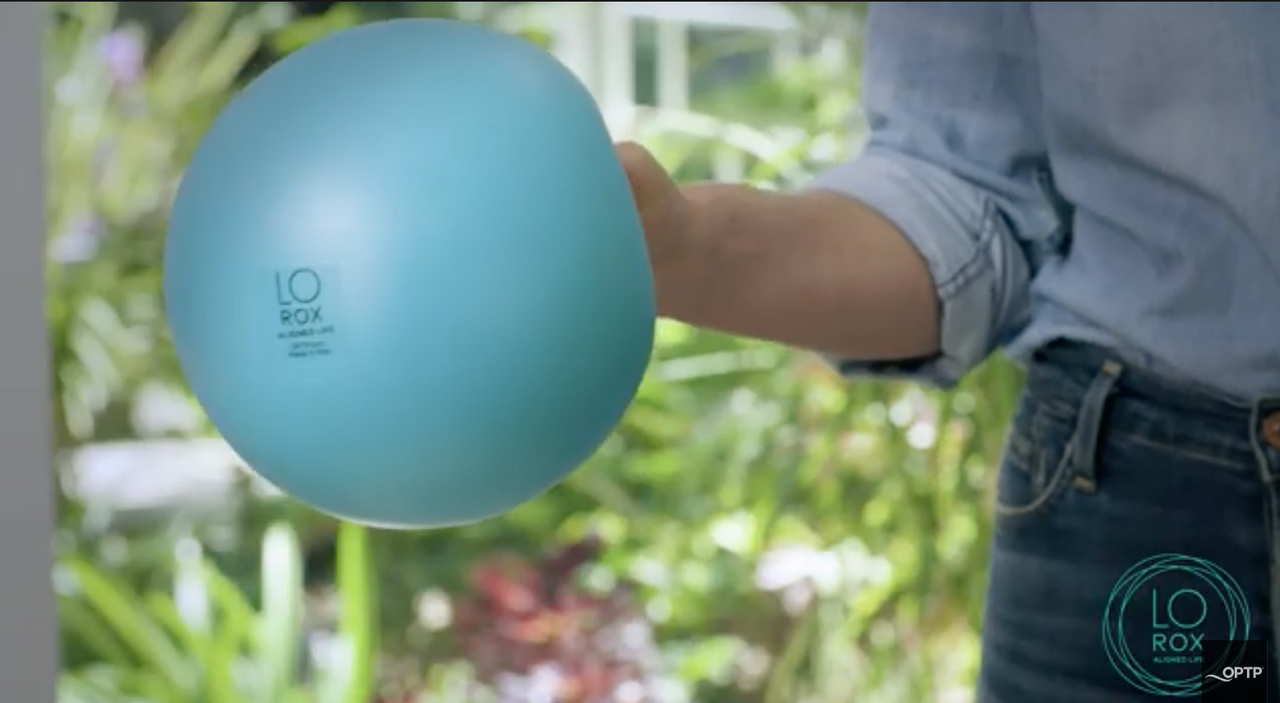 LoRox Mini Infinity Foam Roll - Ideal For Balance Training and Muscle