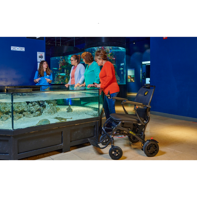 Golden Tech Cricket Foldable Power Wheelchair