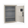 Protex Wall Security Safe with Biometric Fingerprint Lock