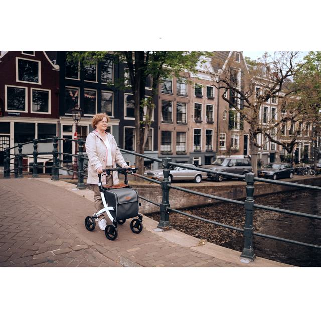 Rollz Flex2 Premium Lightweight Mobility Rollator Shopper Walkers